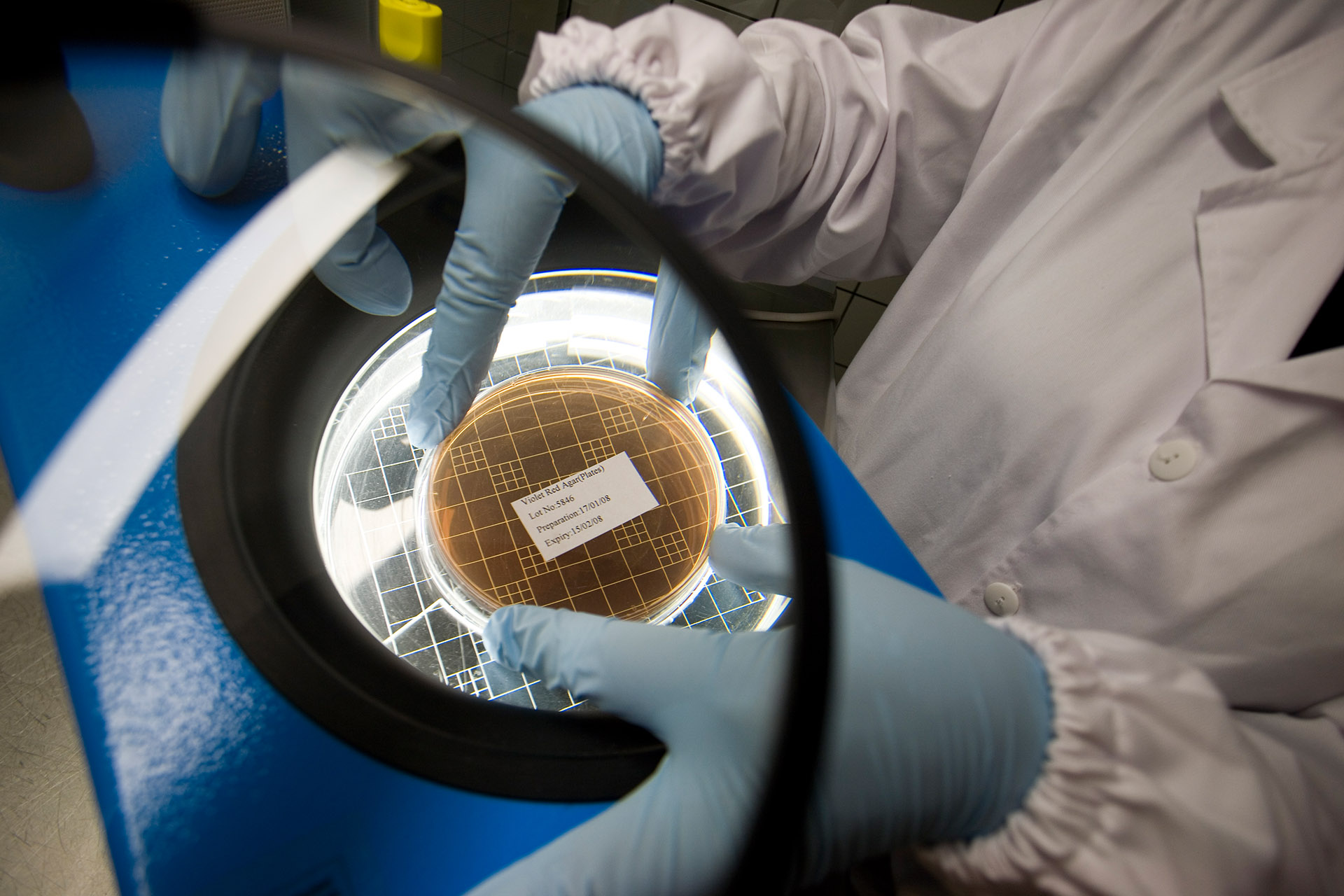 Medochemie | Louisa Nikolaidou Photography